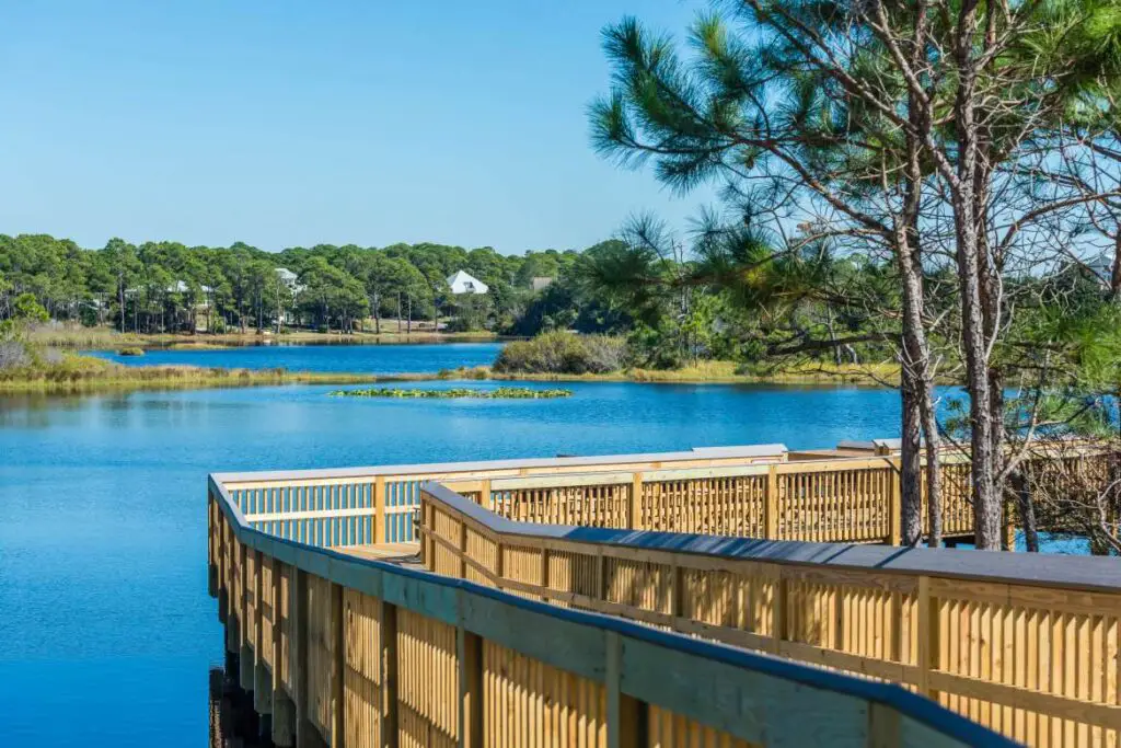 Best Walton County Beaches: 5 Places You Won't Want To Miss