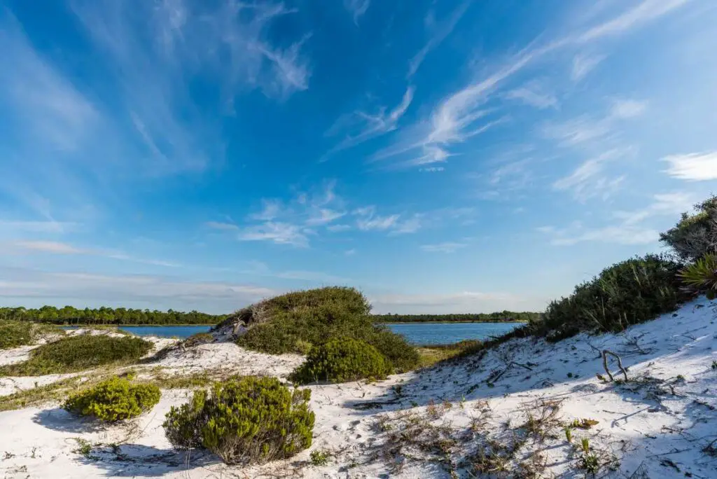 Best Walton County Beaches: 5 Places You Won't Want To Miss